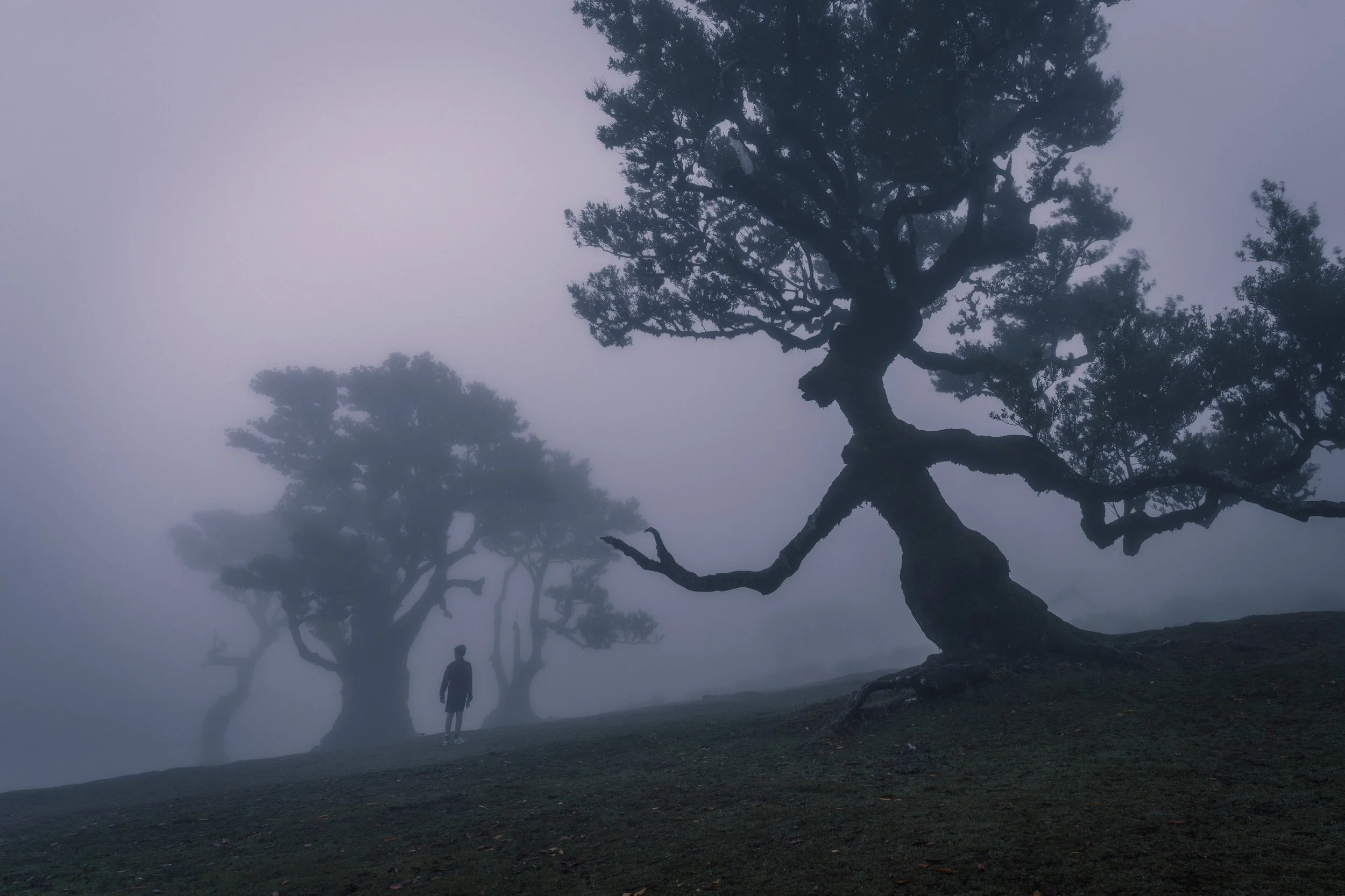 Jim Scott Photography, Northumberland