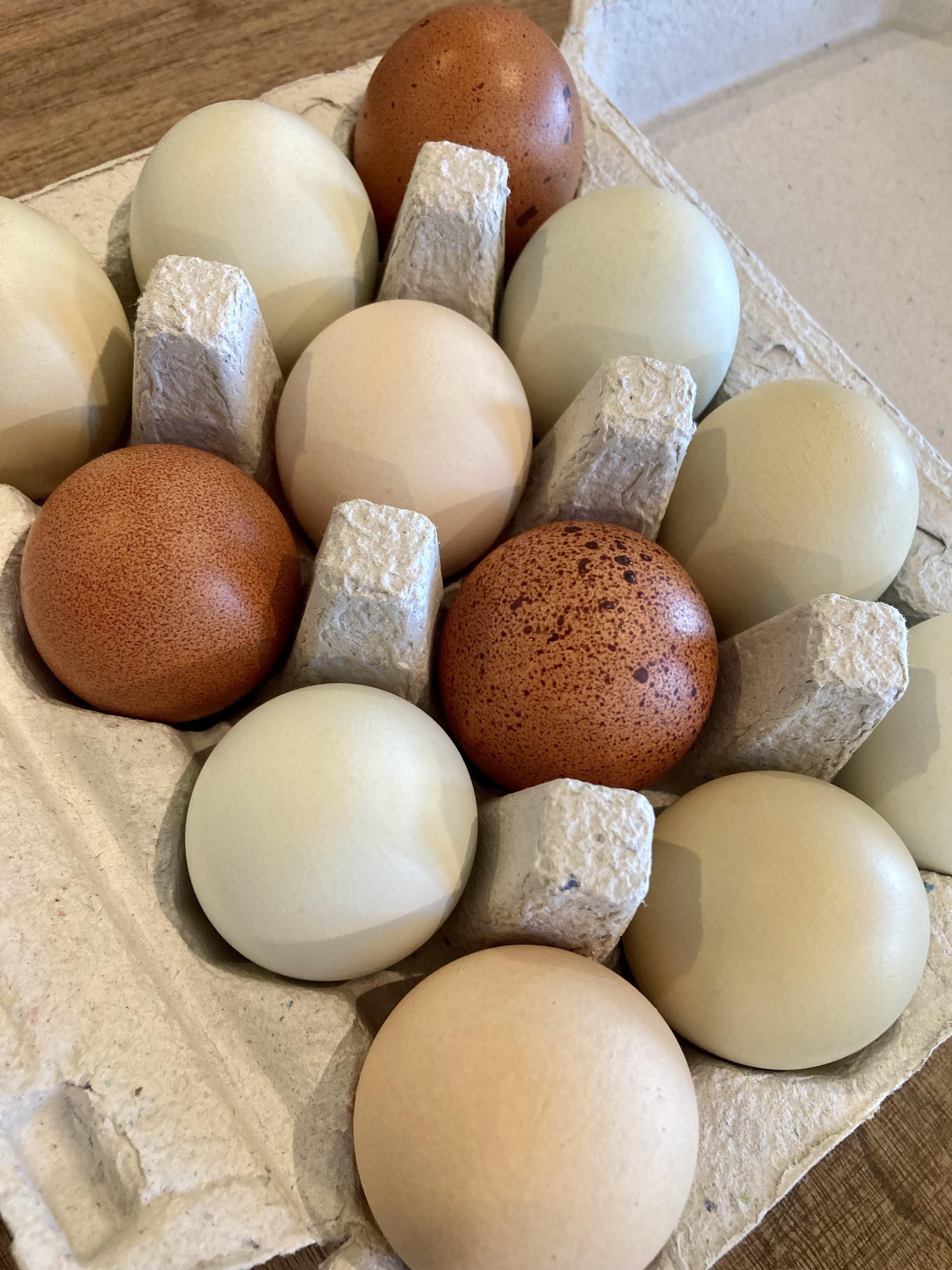 Refuge Farm | Regeneratively Raised Farm Products | Roebuck, SC