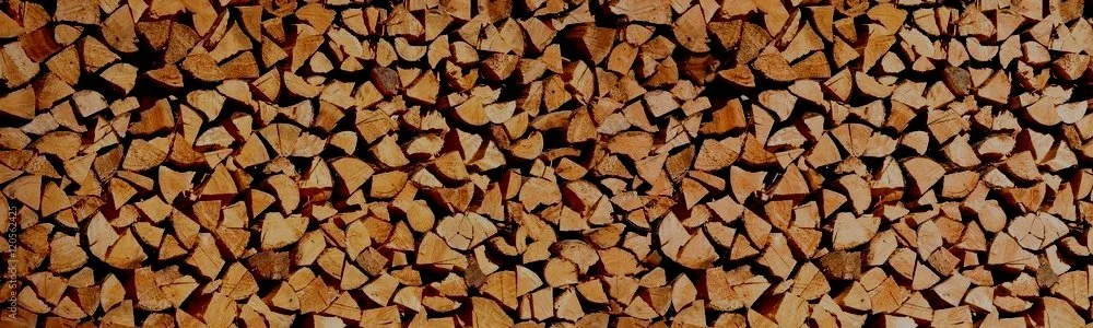 Hall of Barbecue | Arkansas BBQ — Count Porkula BBQ