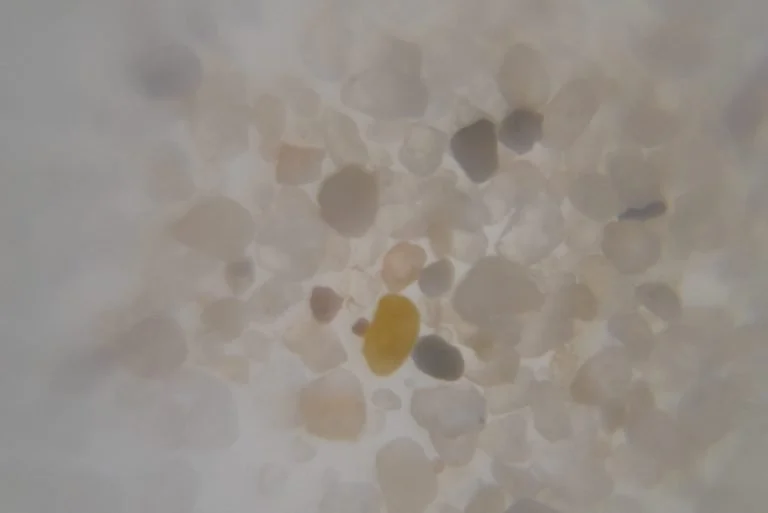 Lab — Blog — Ascus Art & Science