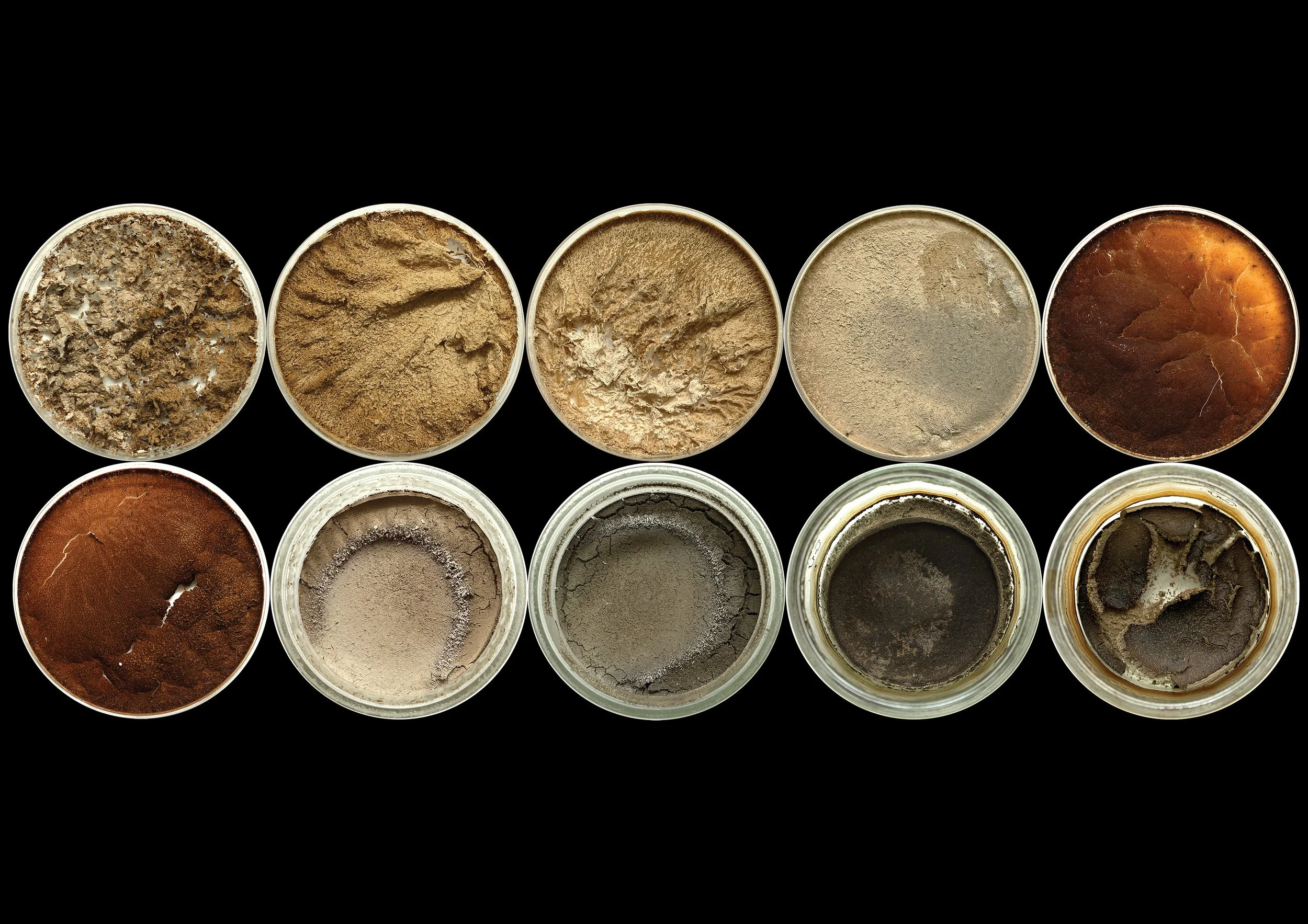 2023 Edinburgh Science Festival - Visual Arts Programme — Ascus Art ...