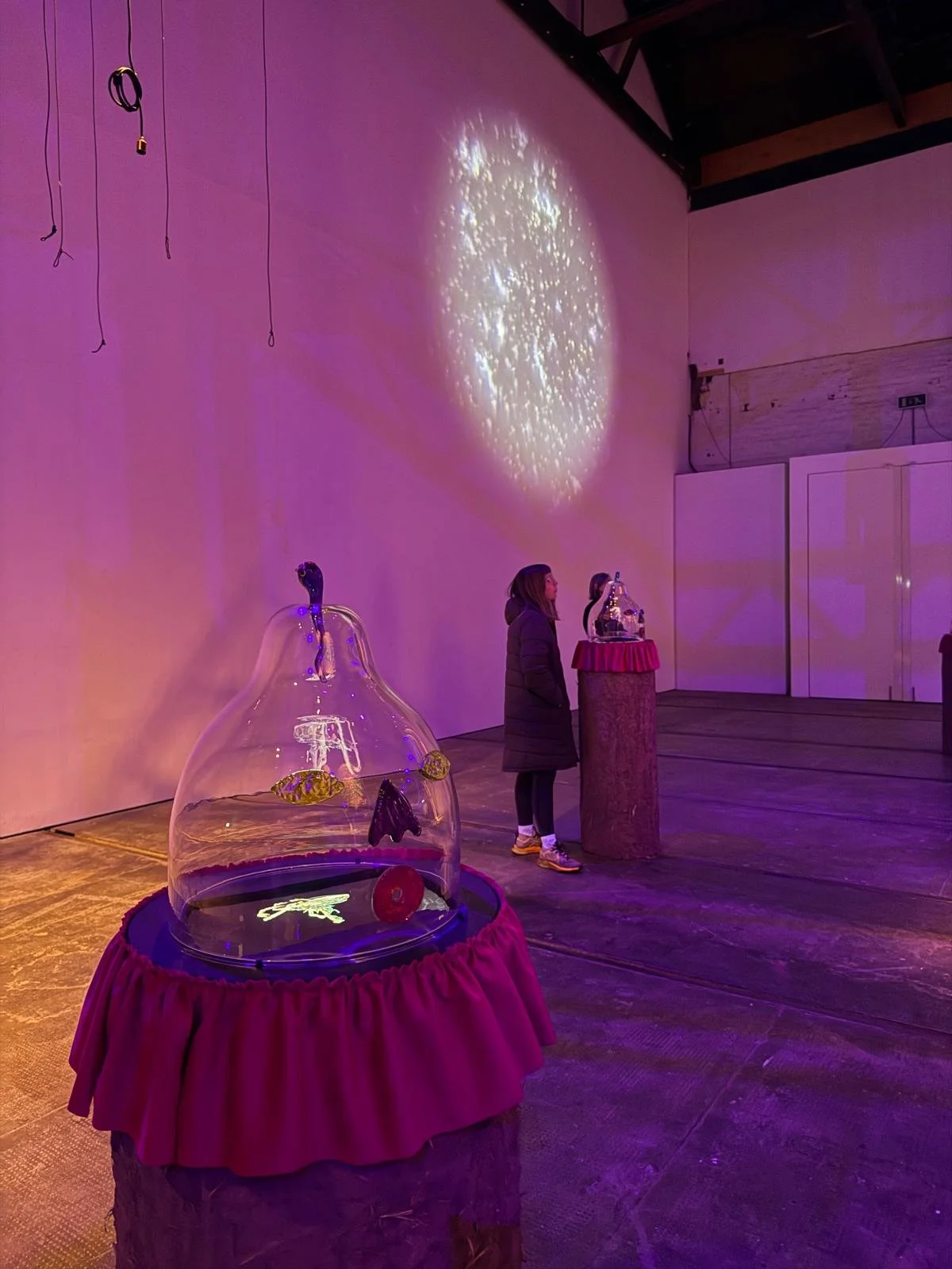 ASCUS Builds custom microscope for Tramway exhibition — Ascus Art & Science