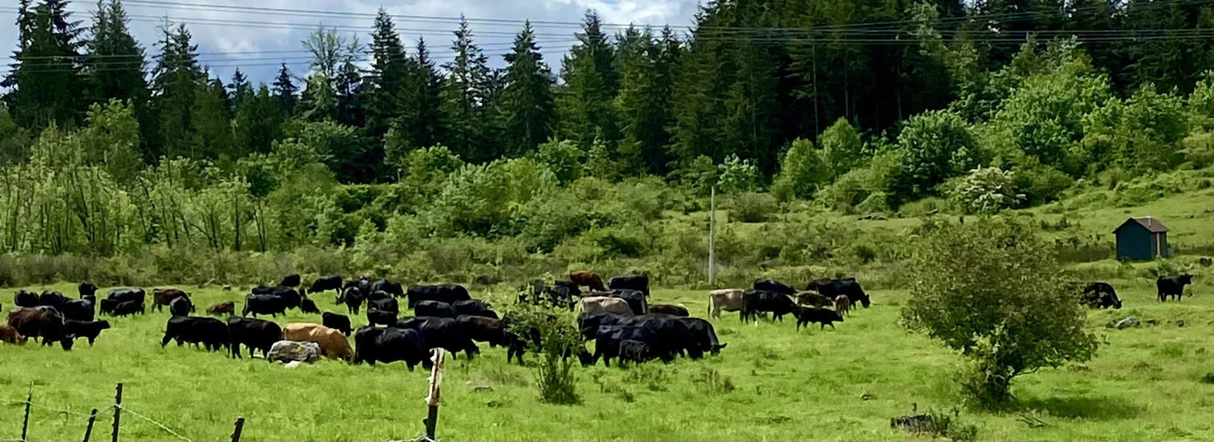 About | Family-Owned & Operated | Multi-Generational — Two Box Ranch