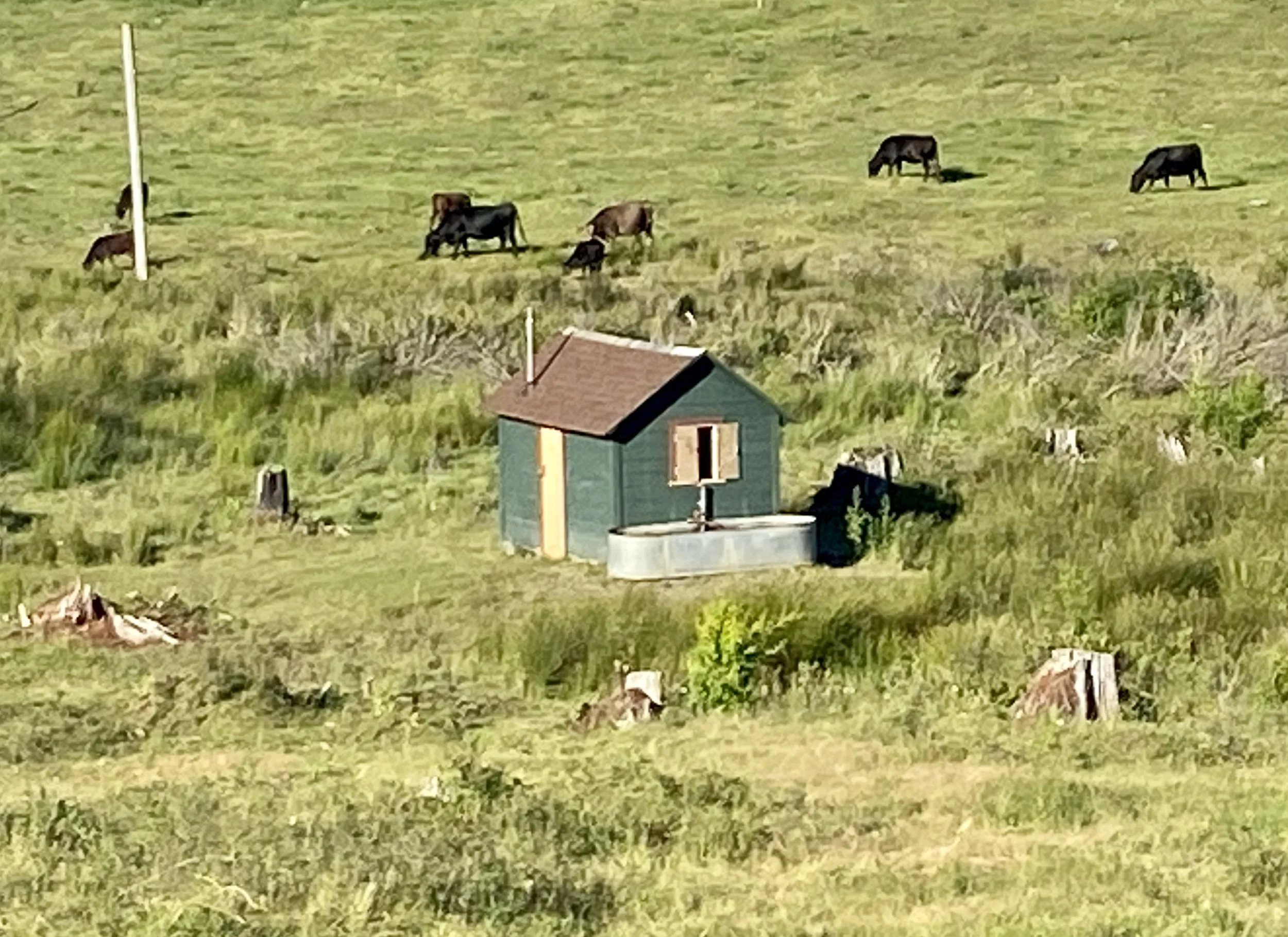 About | Family-Owned & Operated | Multi-Generational — Two Box Ranch