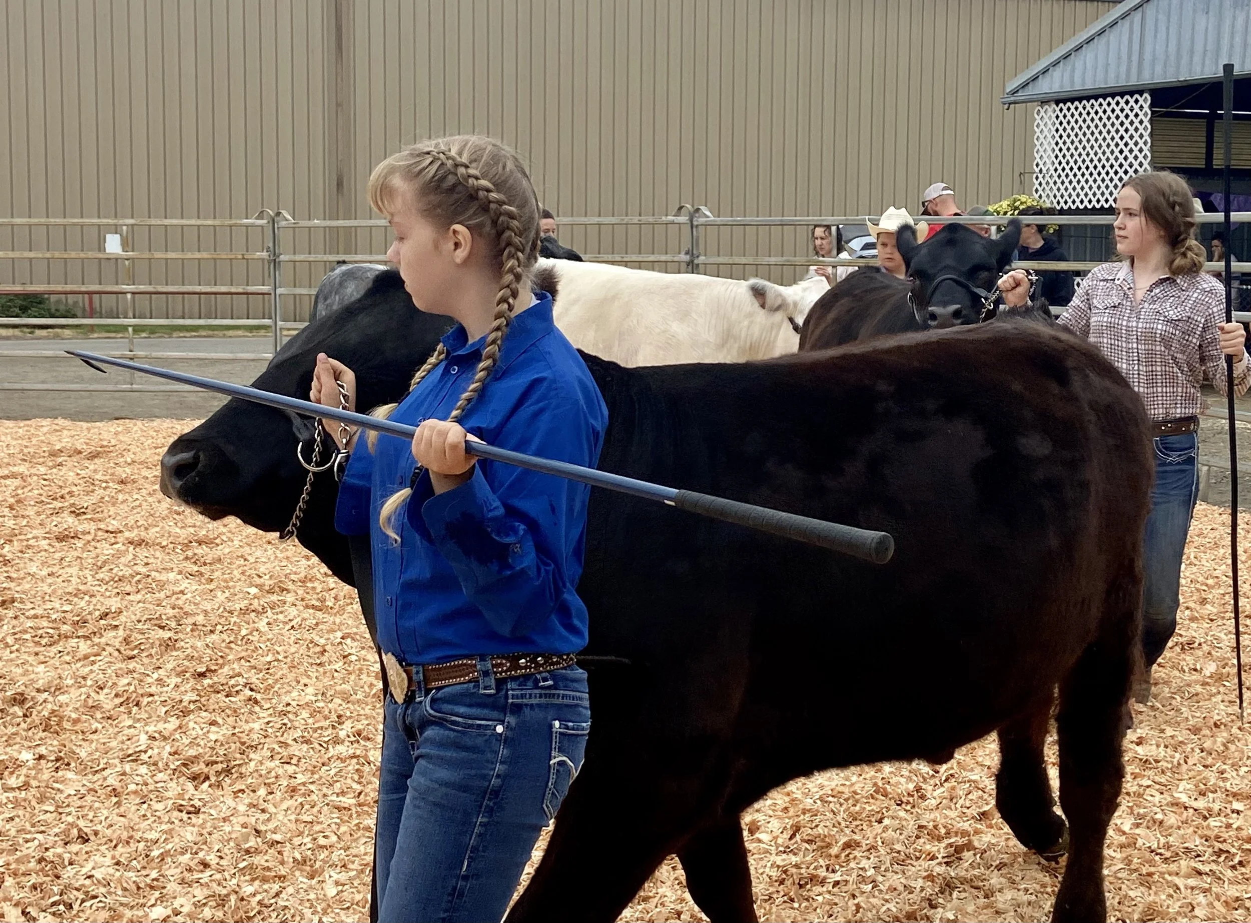 About | Family-Owned & Operated | Multi-Generational — Two Box Ranch