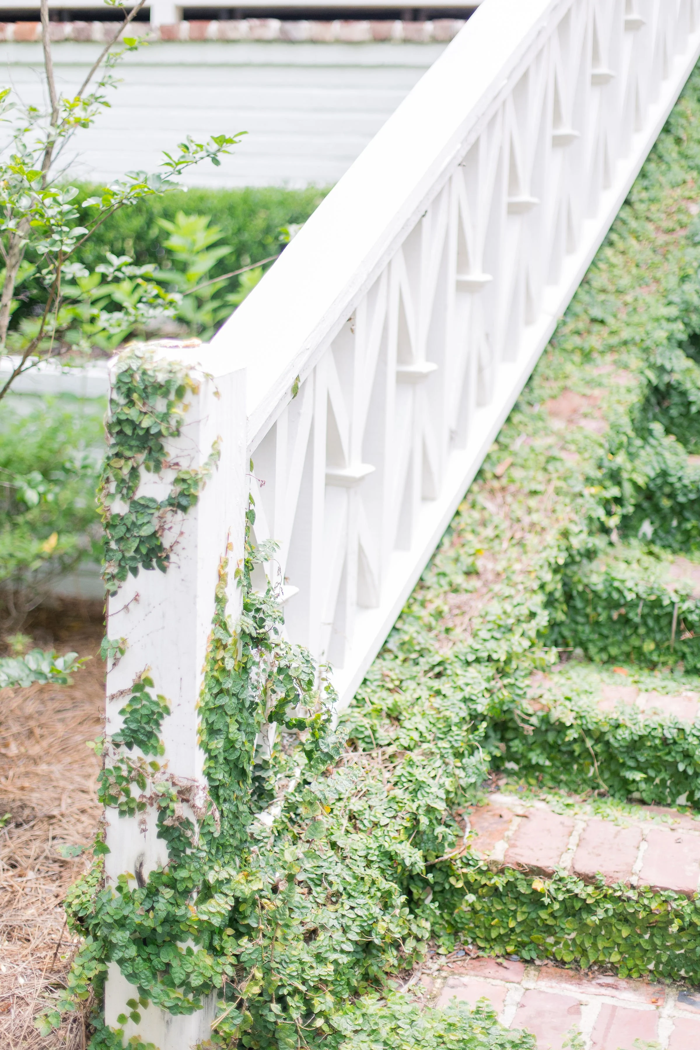 Canvas & Clay Studio