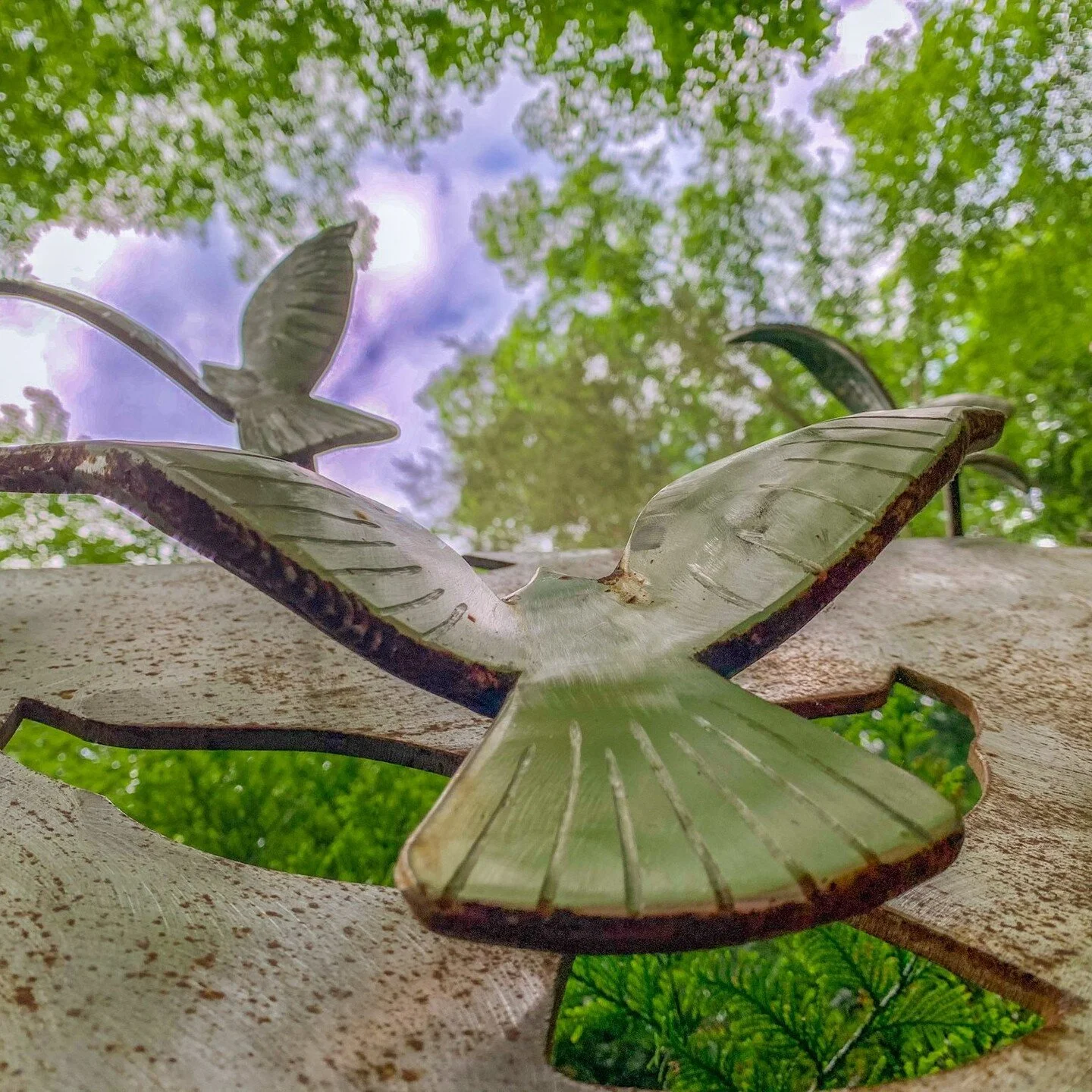 Charlotte Serenity Garden