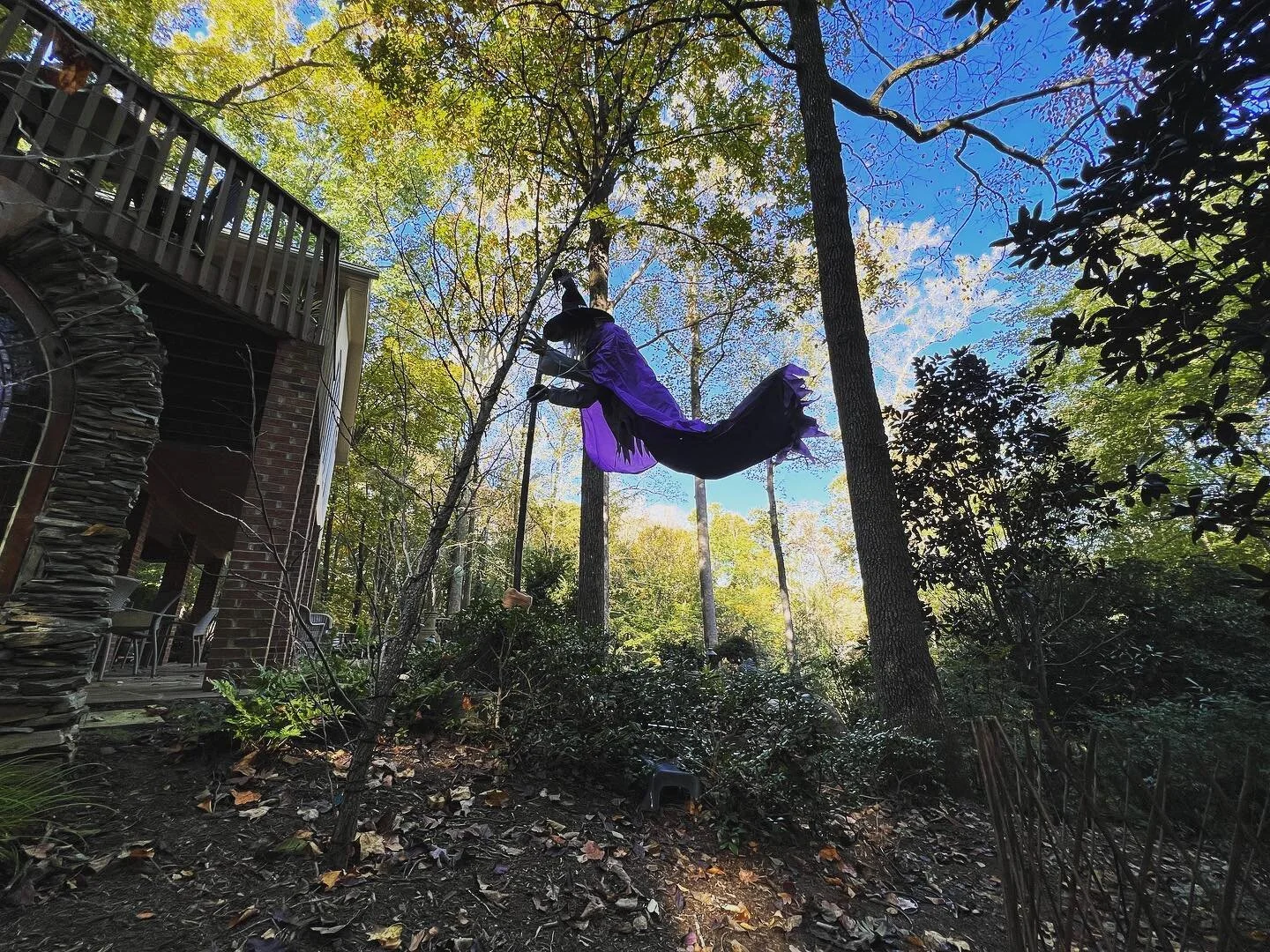 Charlotte Serenity Garden