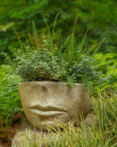 Charlotte Serenity Garden