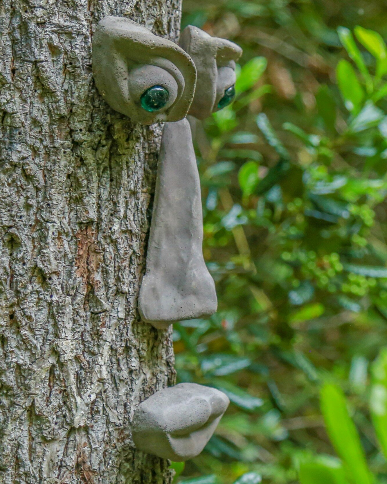 Charlotte Serenity Garden