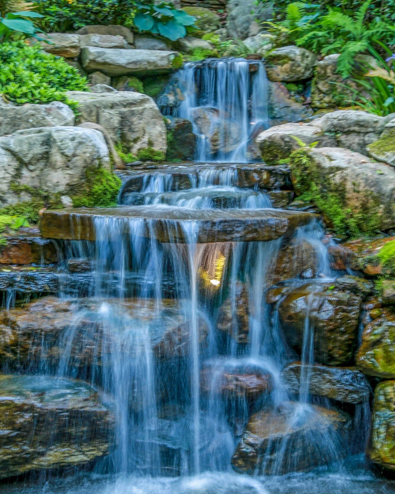 Charlotte Serenity Garden