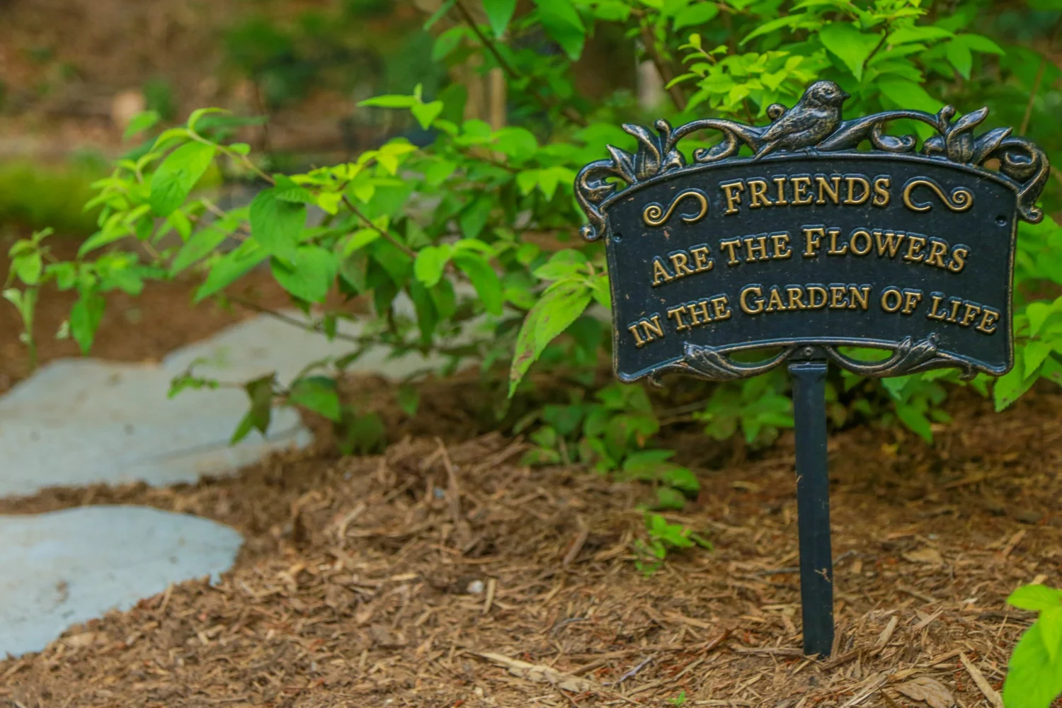 General 1 — Charlotte Serenity Garden