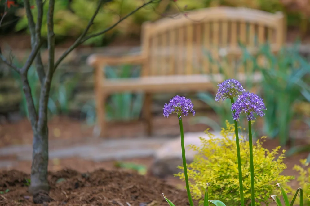 General 1 — Charlotte Serenity Garden