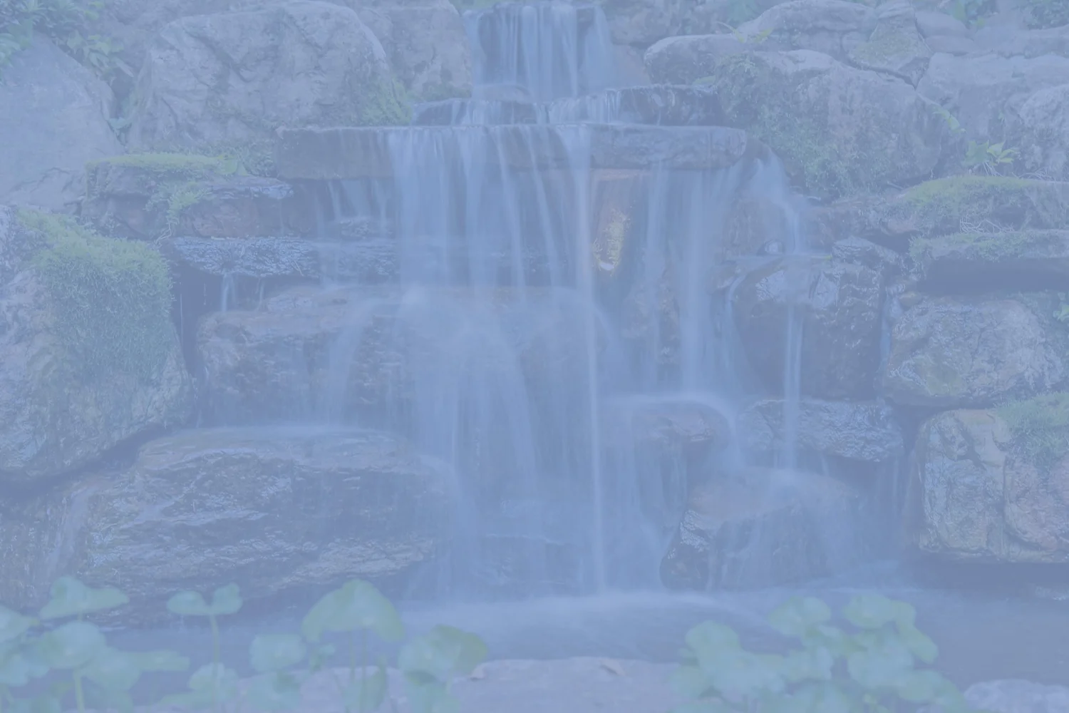 About — Charlotte Serenity Garden