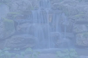 Charlotte Serenity Garden