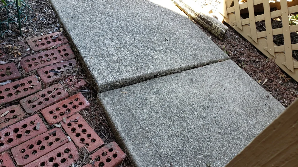 What We Do — AAA Mudjackers