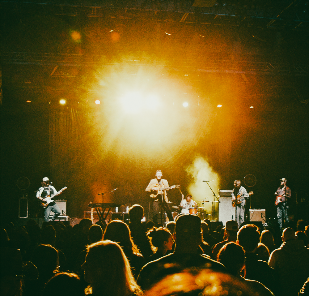 About — Red Clay Strays