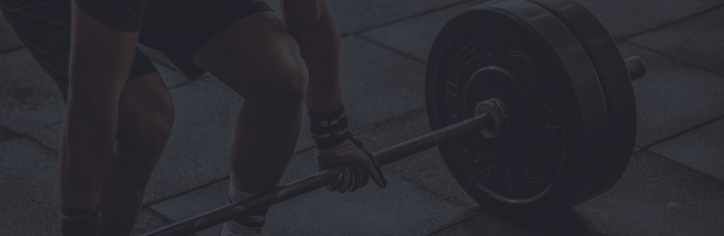 Elite Fitness Gym in Rutherford | The Best Gym in Rutherford NJ — Elite ...