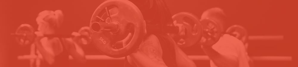 Elite Fitness Gym in Rutherford | The Best Gym in Rutherford NJ — Elite ...