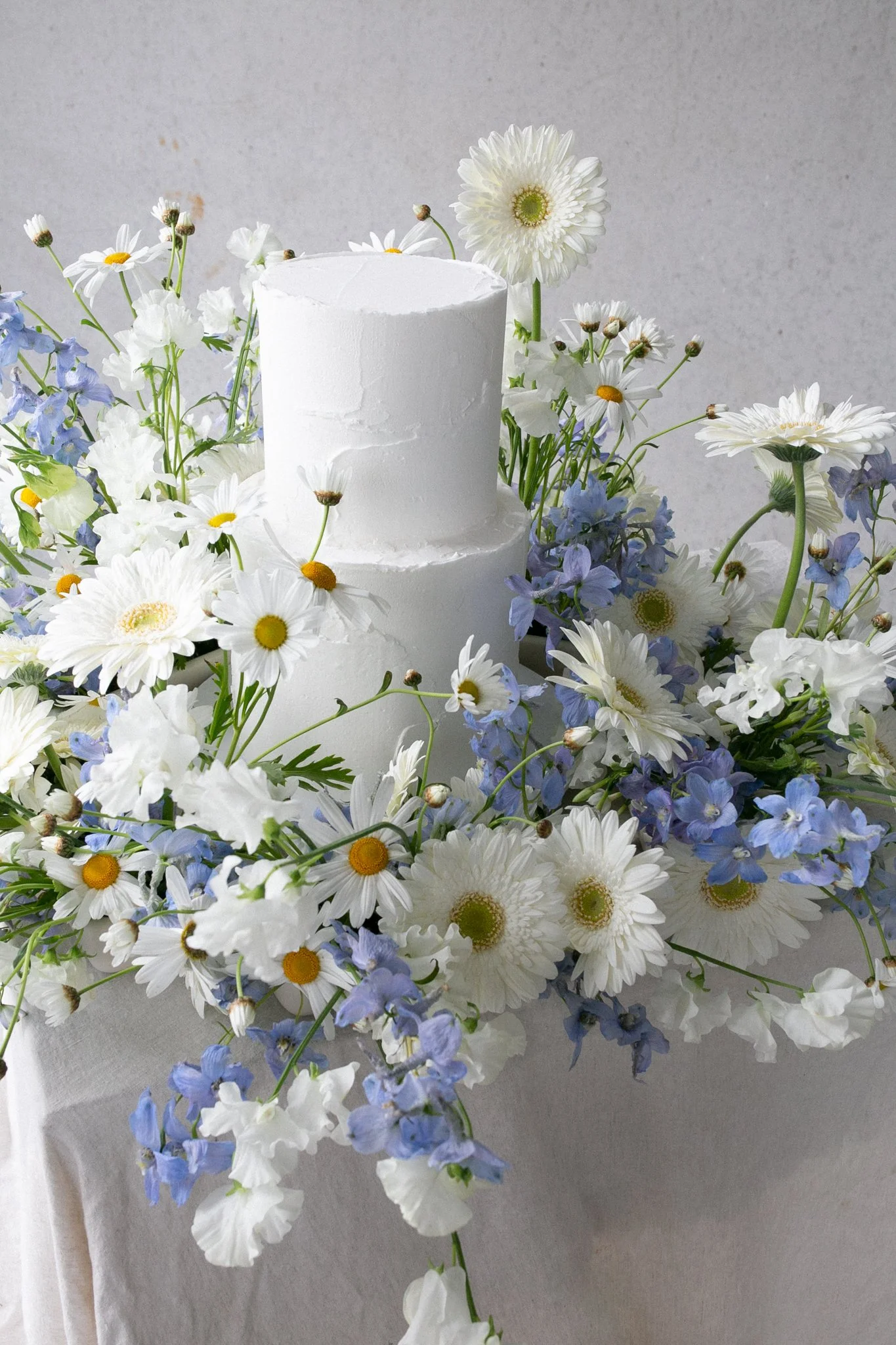 Get in Touch — Film & Foliage