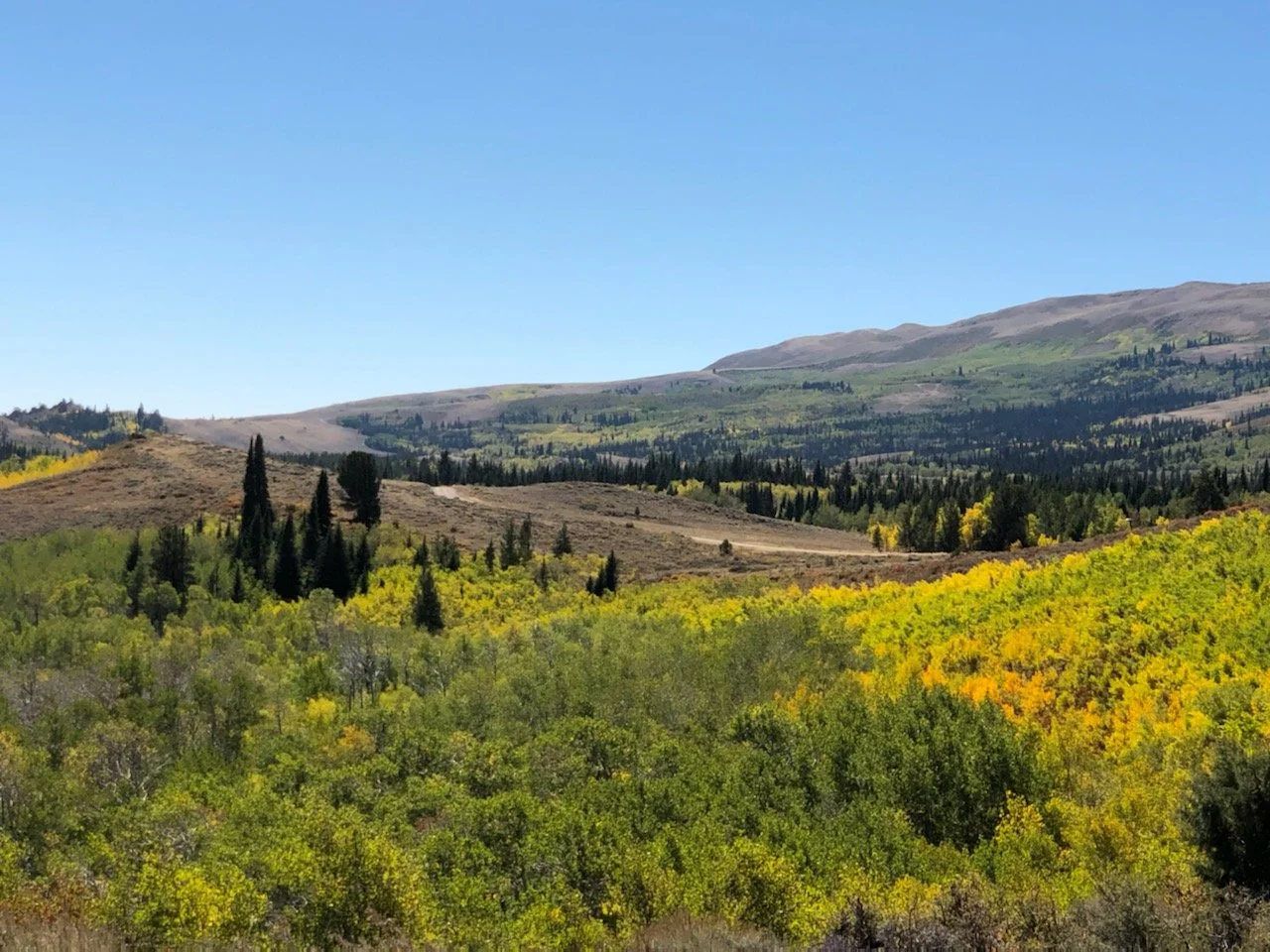 Commissary Owners Pictures — Commissary Ranches