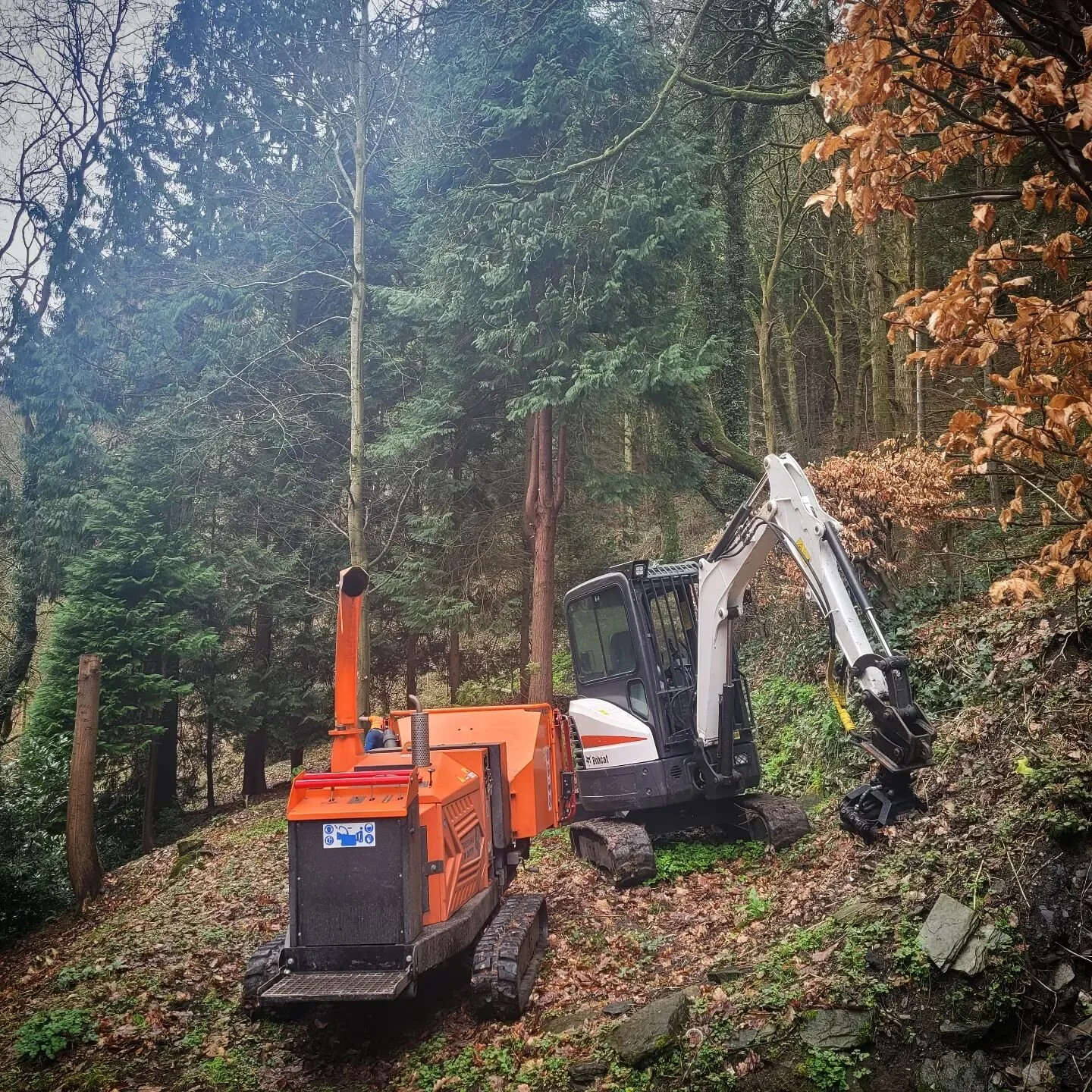 Our Work — Max Newall Tree Services, Tree Surgeons you can trust.