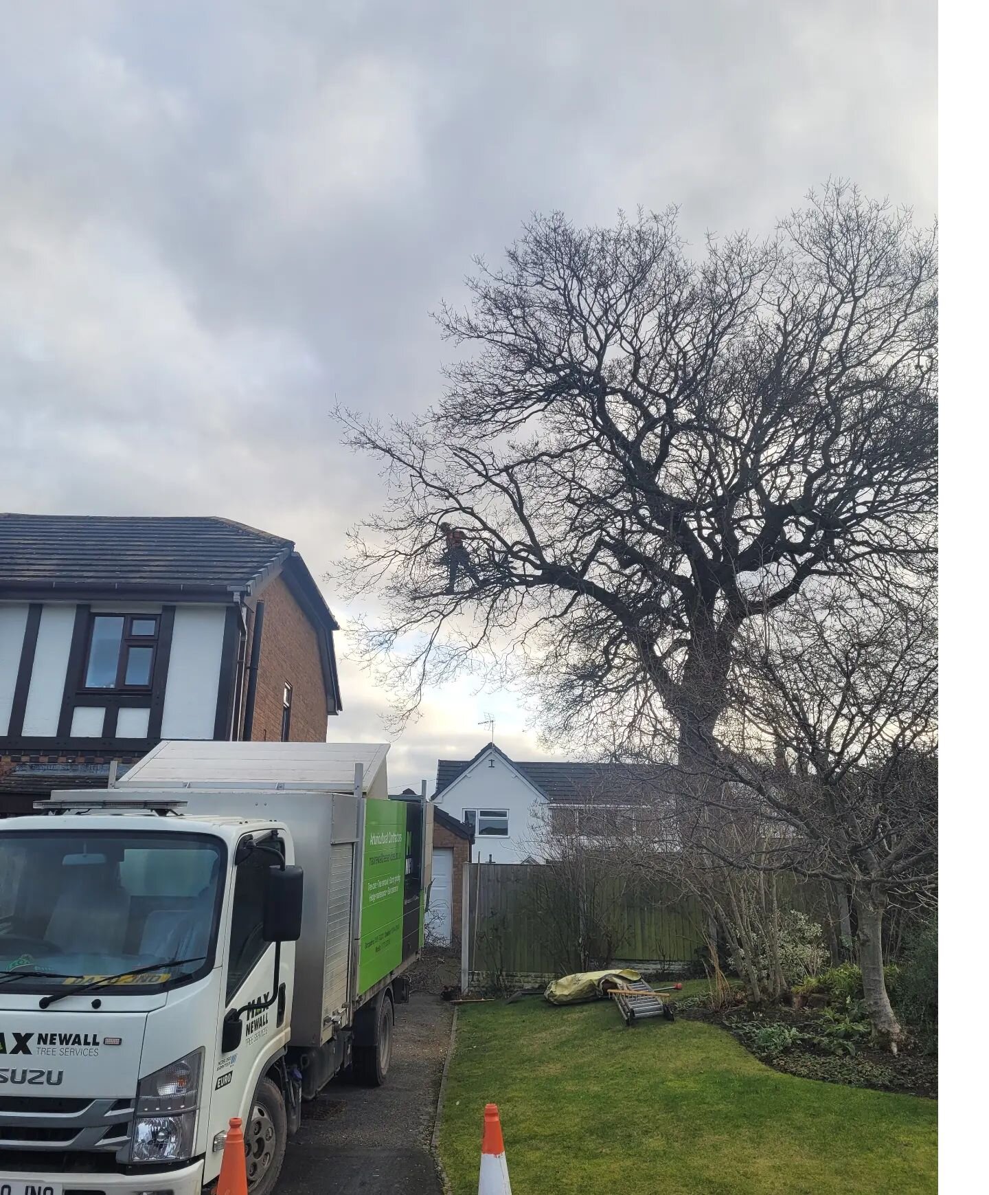 Our Work — Max Newall Tree Services, Tree Surgeons you can trust.