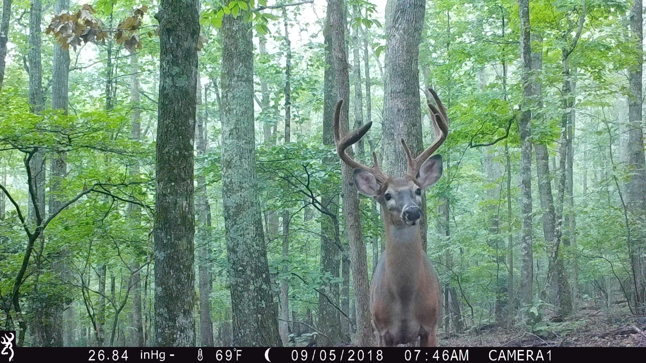 Guided Hunts in the North Carolina Mountains — Mile High Outfitters