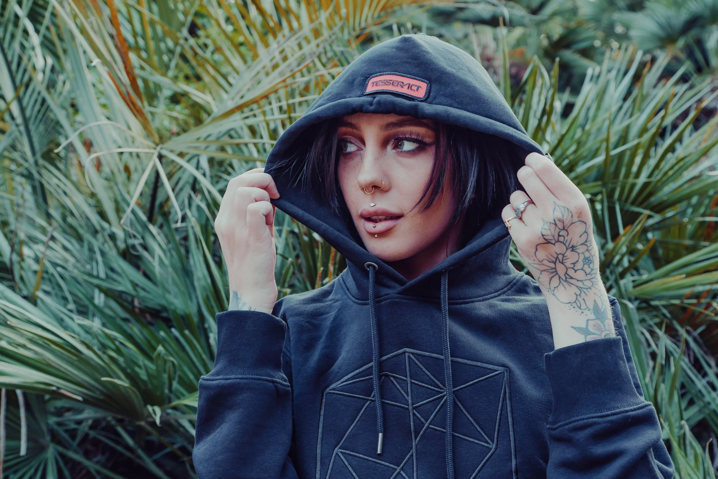 TesseracT | Official Website