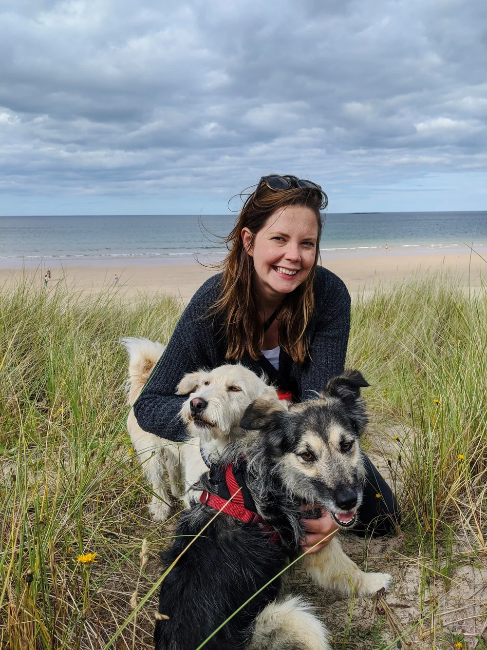 Authors | Colwill & Peddle — Colwill & Peddle