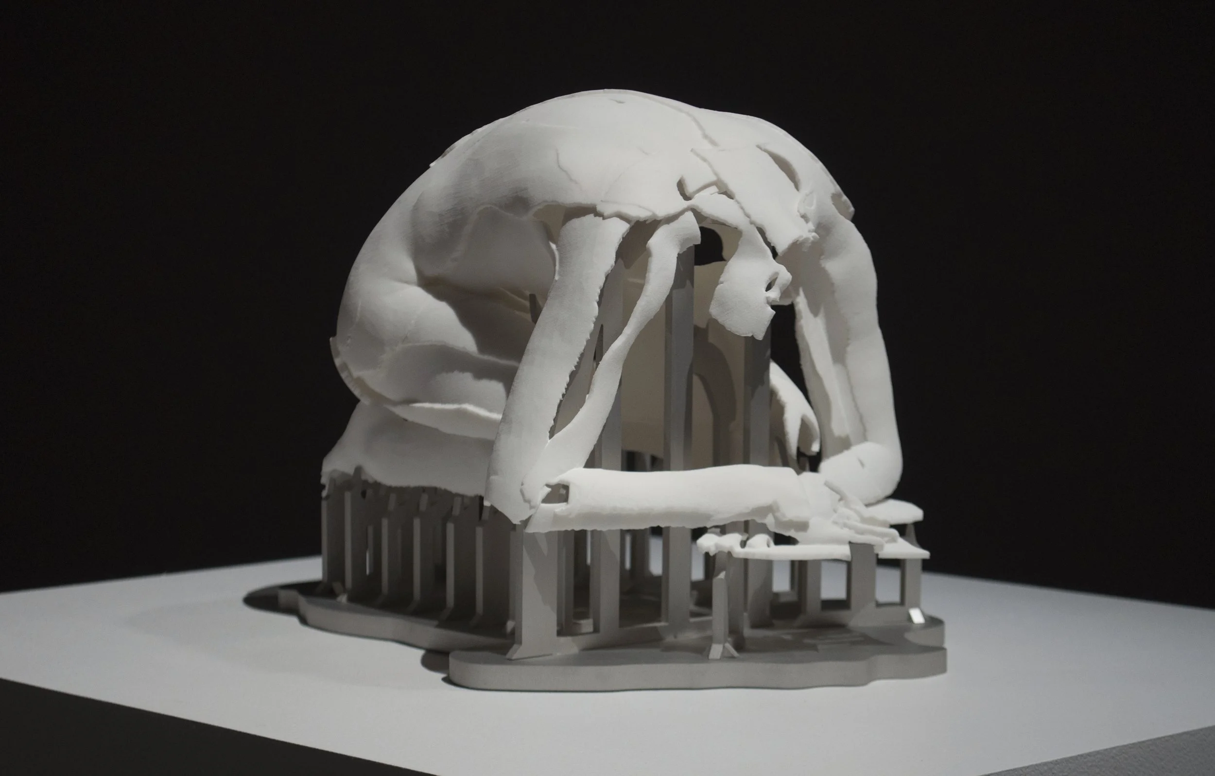 Prodromes — SOPHIE KAHN