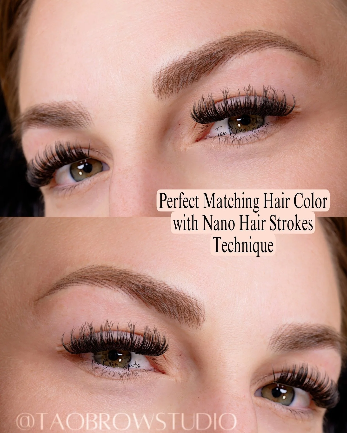 Tao Brow Studio