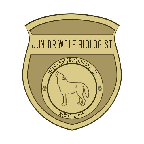 Defend wolves...they are vital.