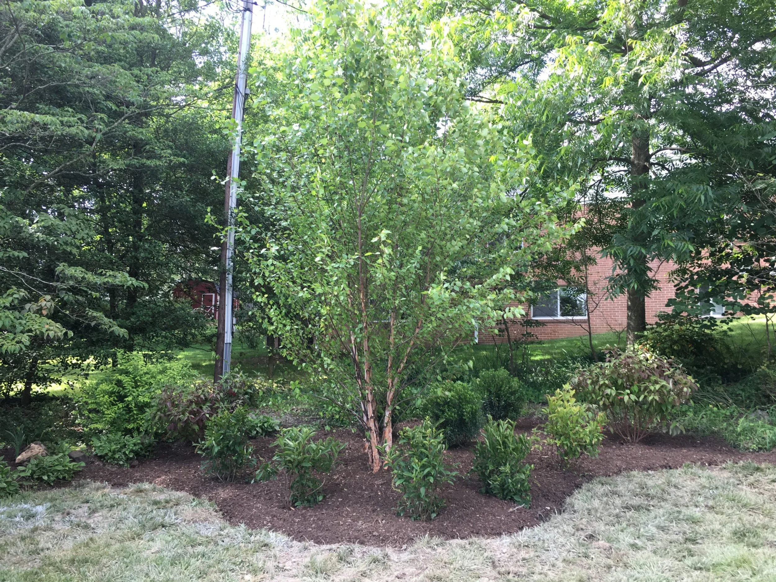 Landscape Planting In Poor Draining Areas Valley Deck Patio landscape-planting-in-poor-draining-areas-valley-deck-patio