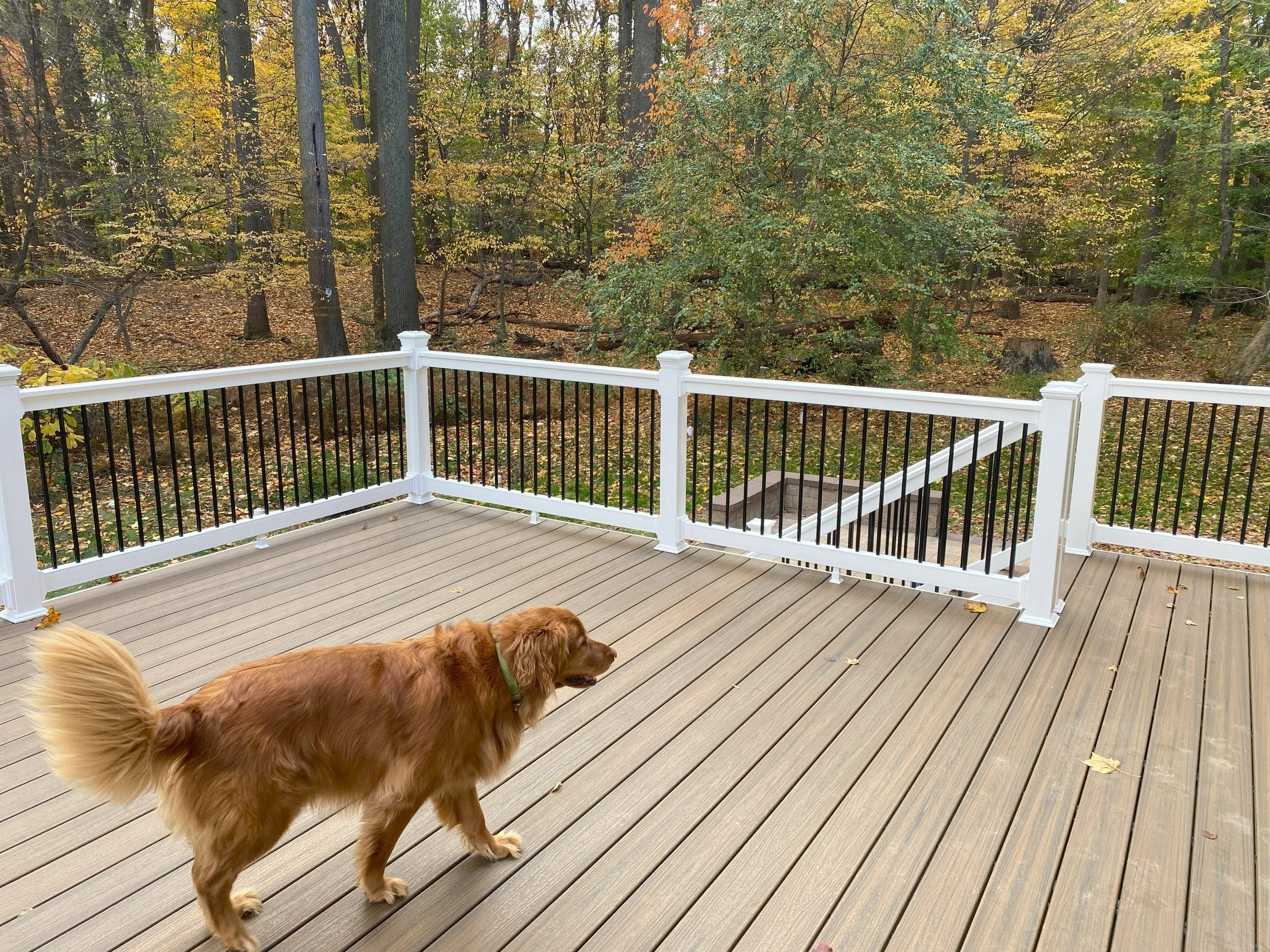 Deck - Ellicott City, MD | Valley Deck & Patio