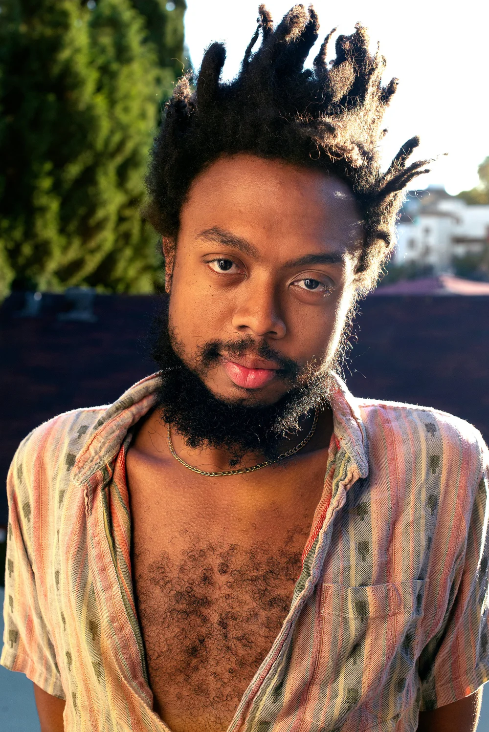 About The Show — The Middle