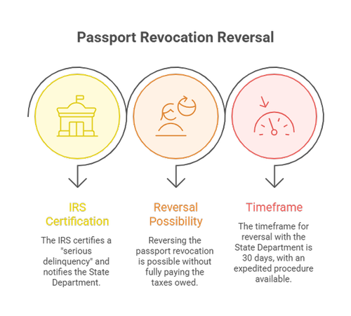 IRS Passport Revocation — Semper Tax Relief | IRS Tax Problems ...