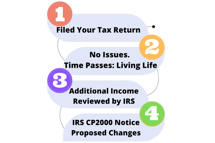 IRS CP2000 Notice — Semper Tax Relief | IRS Tax Problems | Business ...