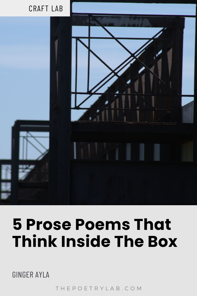 5 Prose Poems That Think Inside The Box — The Poetry Lab