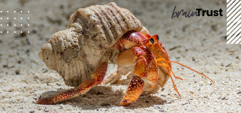 BrainTrust Generative Writing Workshop — The Poetry Lab