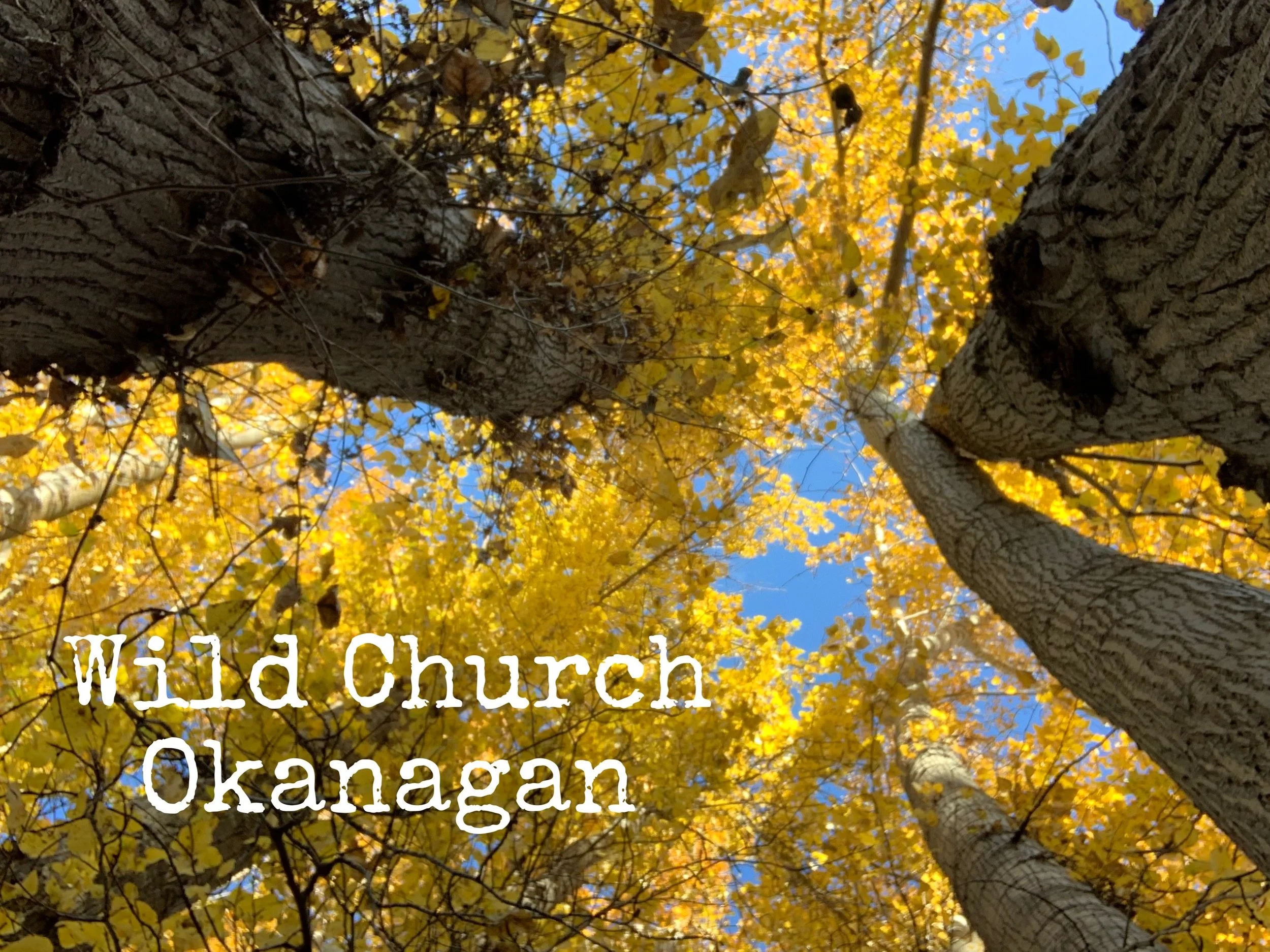 Wild Church Gatherings — Wild Church BC