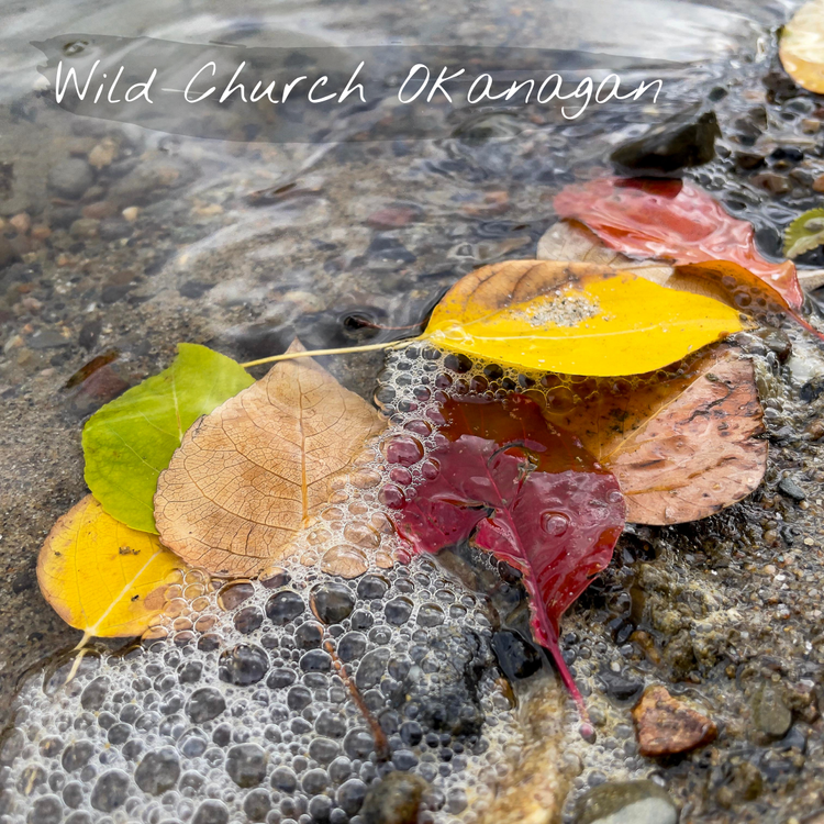 Wild Church Gatherings — Wild Church BC