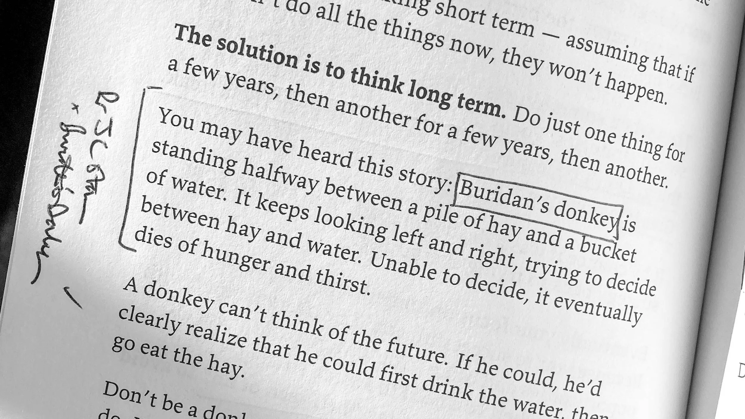 Buridan’s Donkey — Twelve Scholars