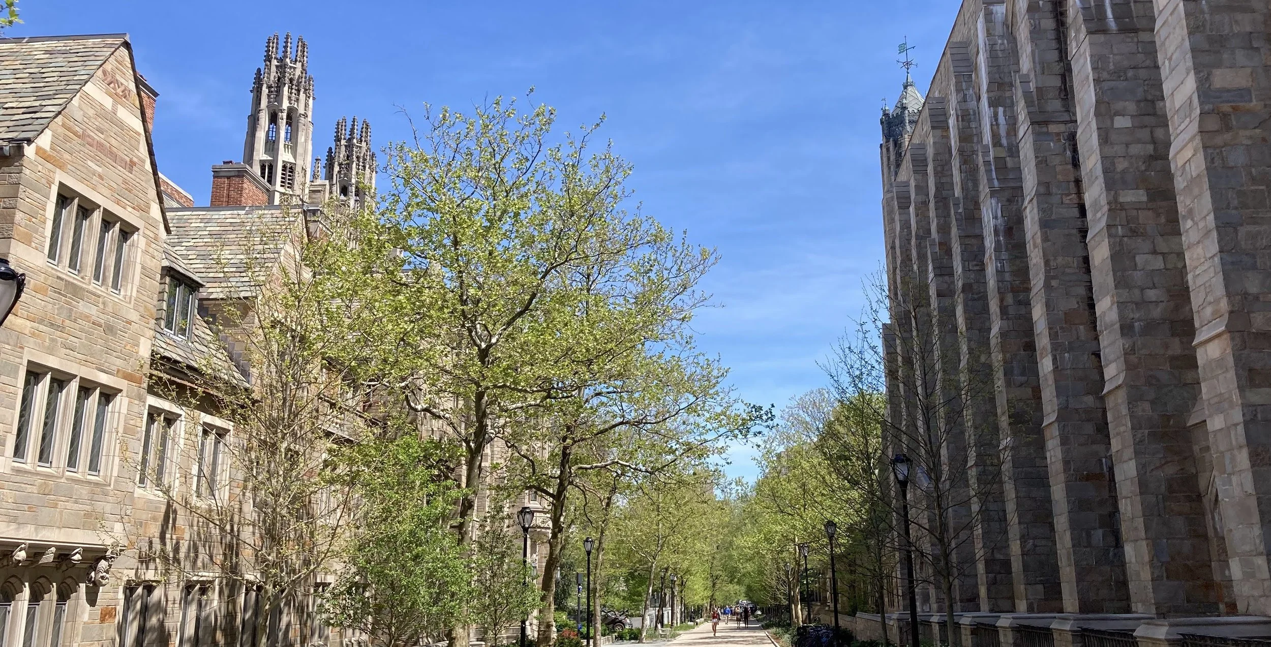 Emilia Favuzzi lab — Favuzzi Lab