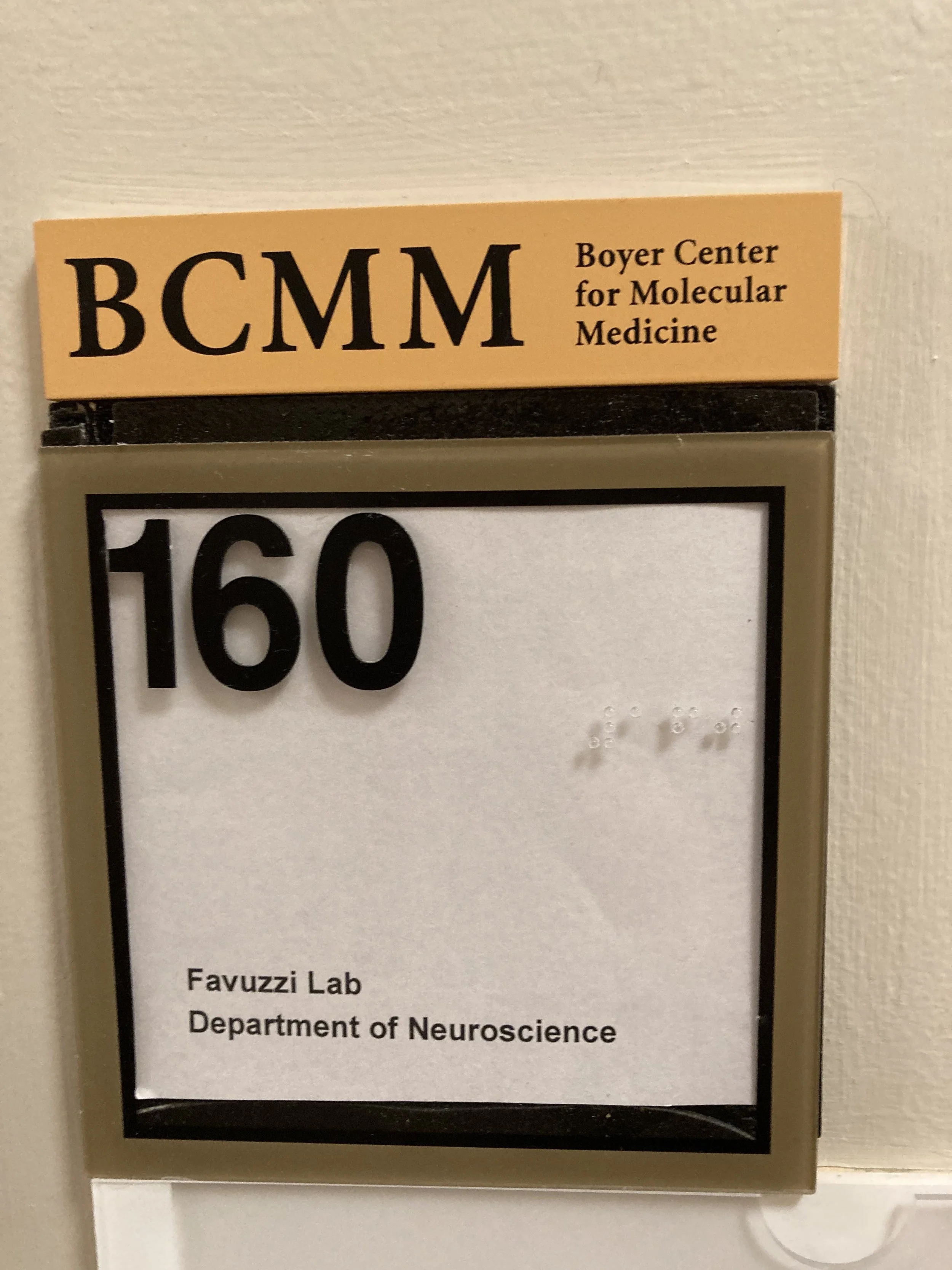 Lab life & News — Favuzzi Lab