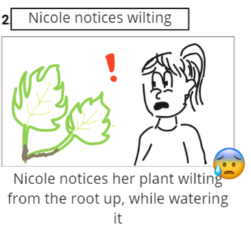 BeLeaf — Jordan Chu