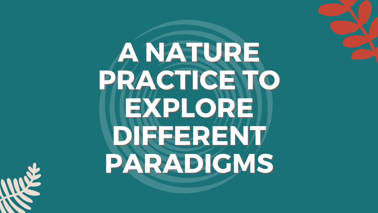 Book Resources — BETH BERILA