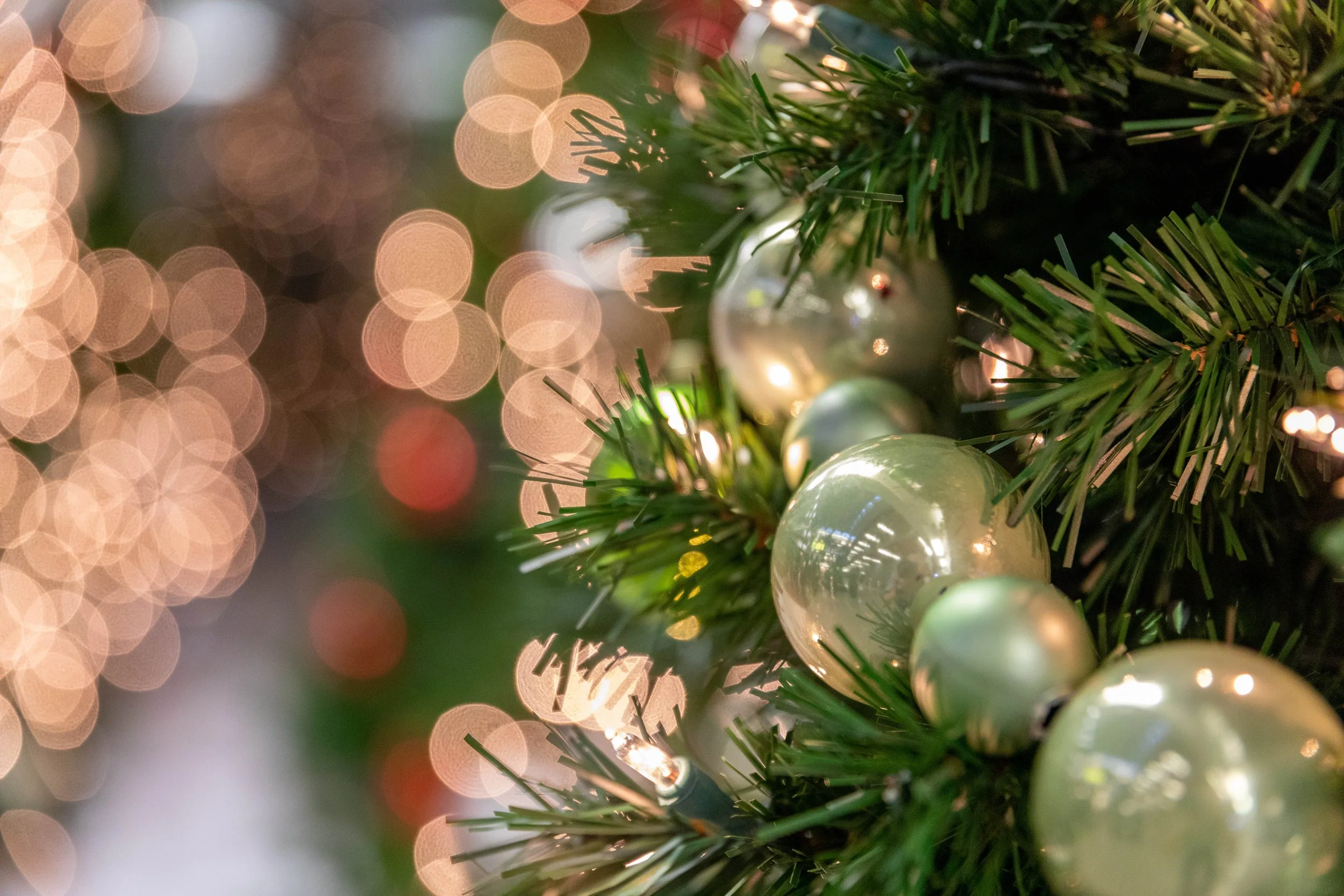 Wreath Collection — DIFFA — Dallas