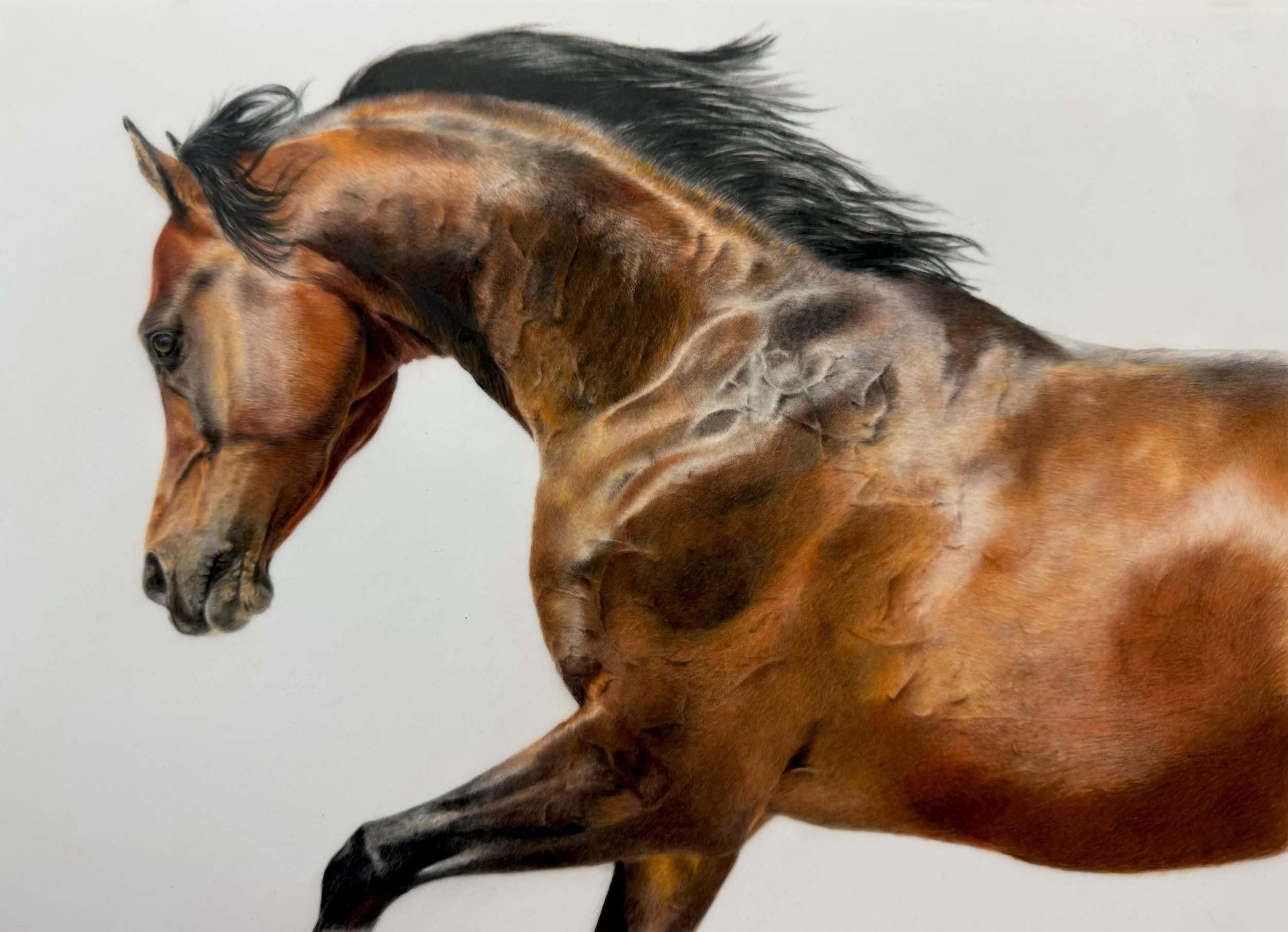 Bonny Snowdon | Explore Vibrant Creativity — Art and Color 365