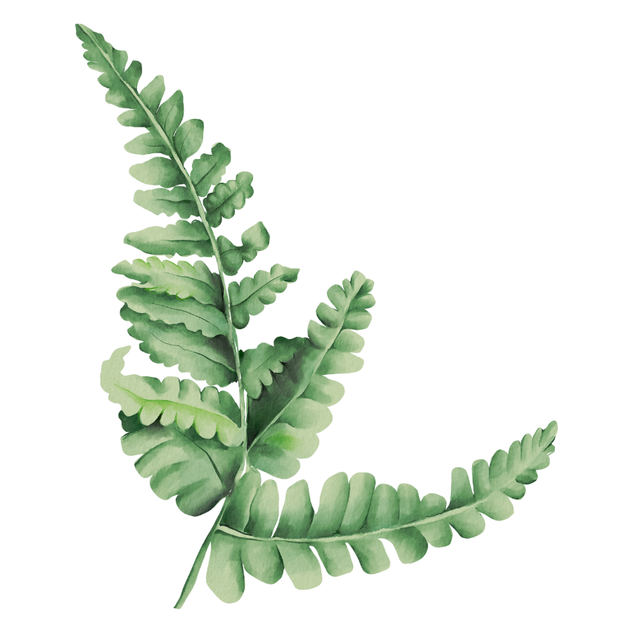 Simply Healing - Natural health clinic